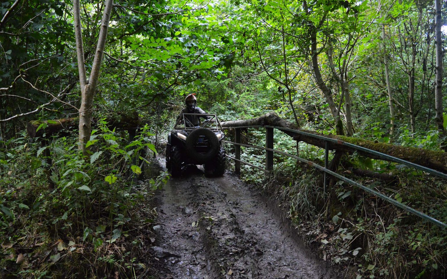 Home - Carrick Quads | Northwest's No.1 Quad Adventure